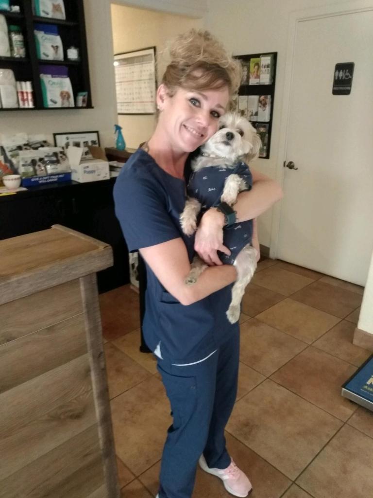 About Us – Oracle 77 Pet Clinic